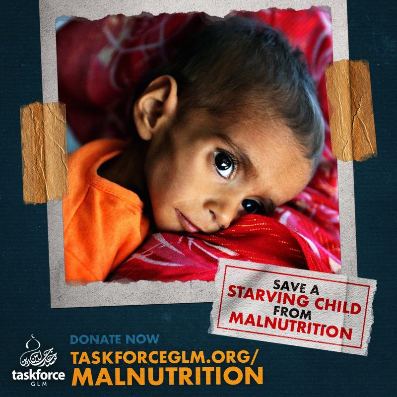 Donate – Taskforce GLM