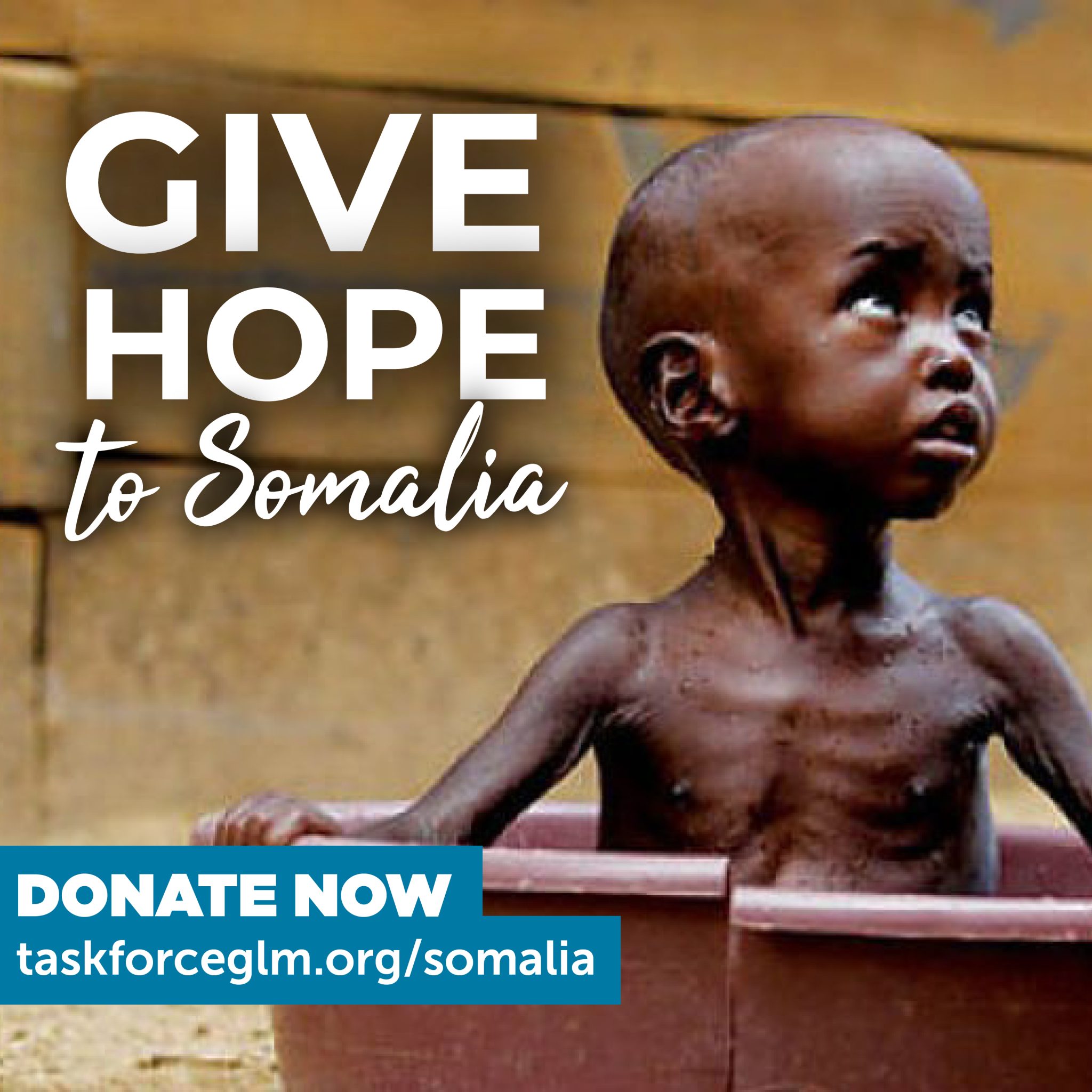 Donate – Taskforce GLM