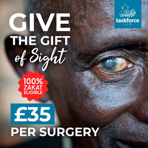 Taskforce GLM – Taskforce GLM